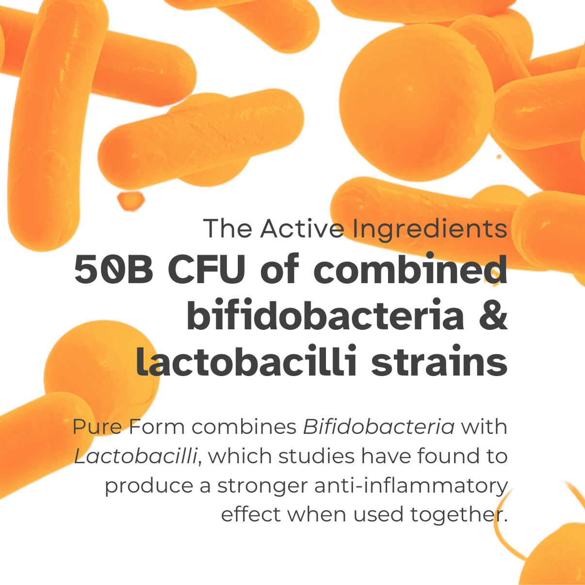 Pure Form Pre+Probiotic for Gut Health