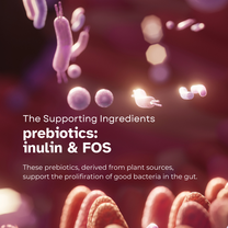 Pure Form Pre+Probiotic for Gut Health