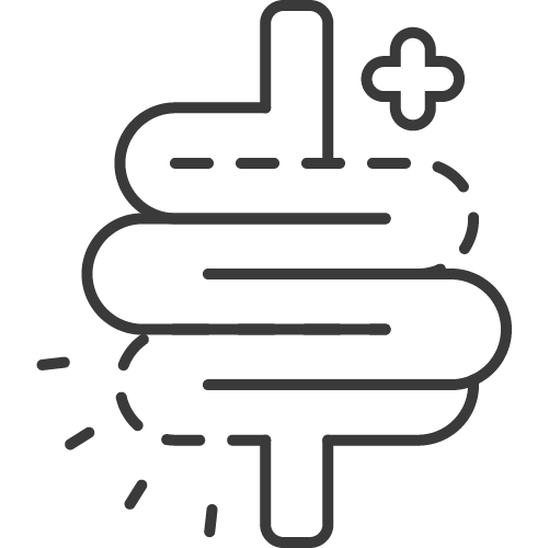 Pure Form® Pre+Probiotic for Gut Health